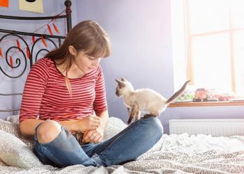 Pet Rescue Blog | Pet & Dogs Blog | Pet Tips & Tricks