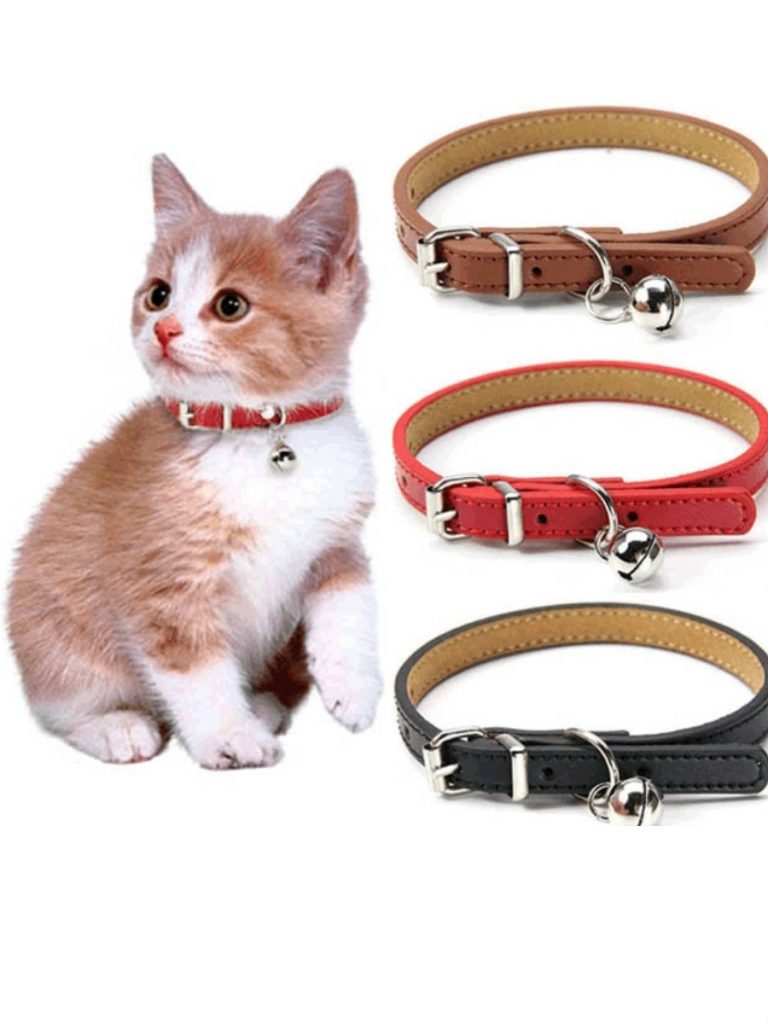 The Best Cat Collars Of 2025 - Pet Rescue Blog