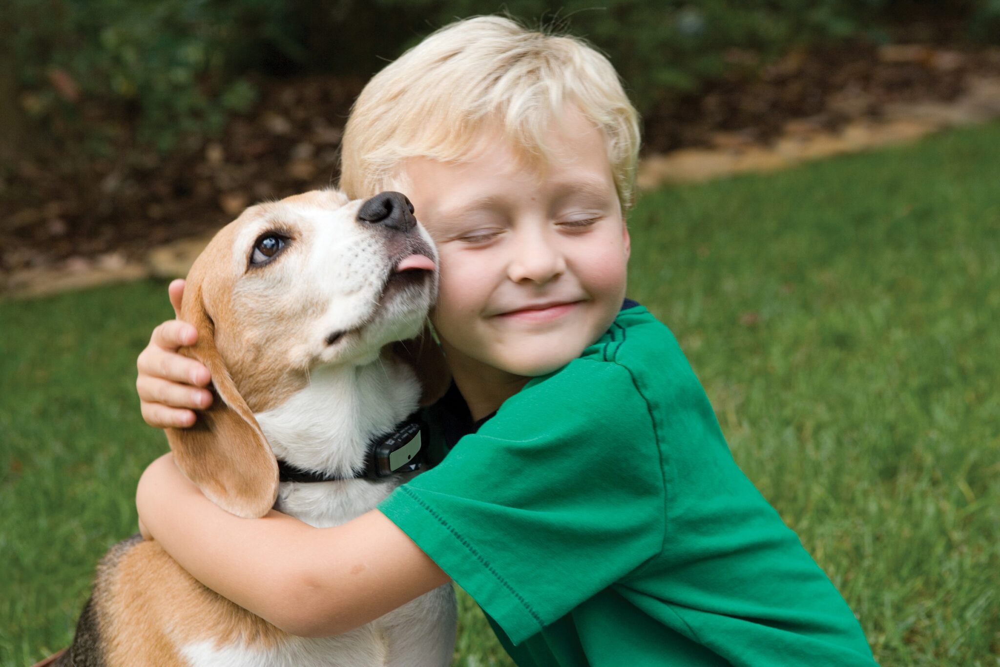 What To Do If Your Pet Is Run Away Or Missing?