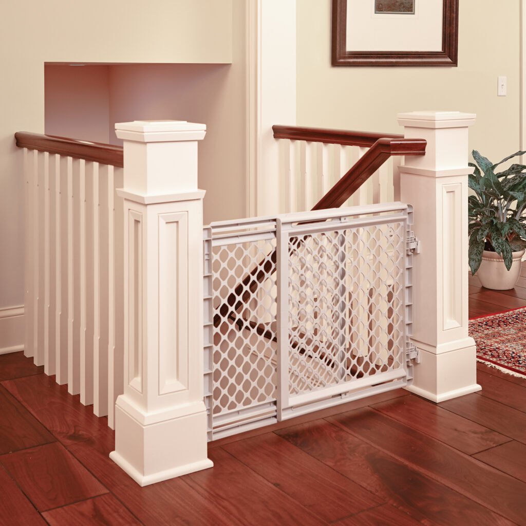 Dog Barriers To Keep Your Pup Safe And Secure