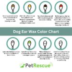 Dog Ear Wax Color Chart