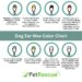 Dog Ear Wax Color Chart