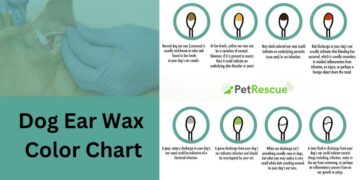 Dog Ear Wax Color Chart