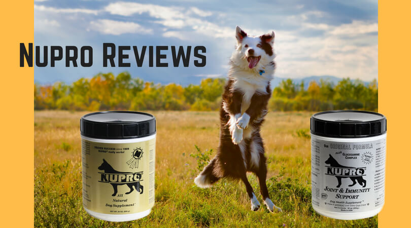 Nupro Dog Supplement Reviews