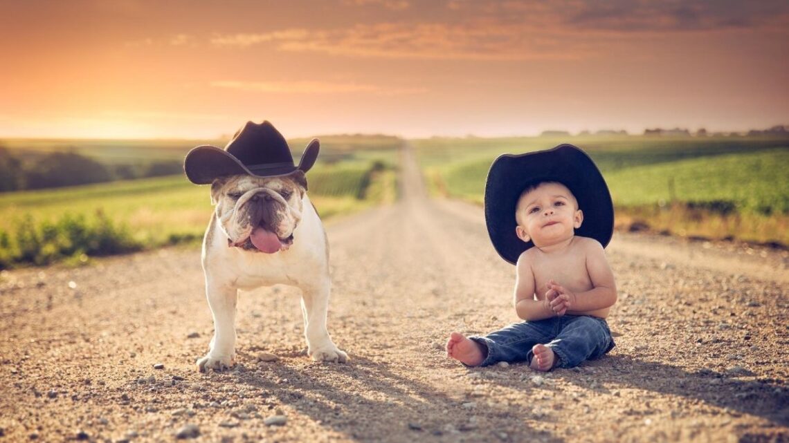 6 Dog Photography Tips For Perfect Pet Portraits - PRB