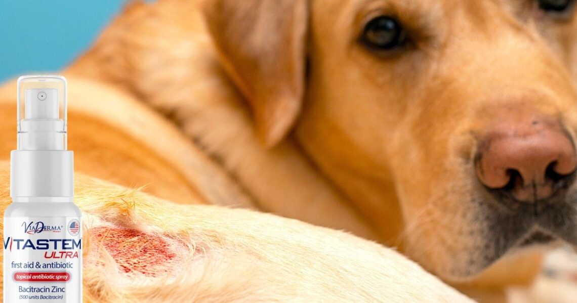 Vitastem Ultra: A Must-Have Antibiotic Spray