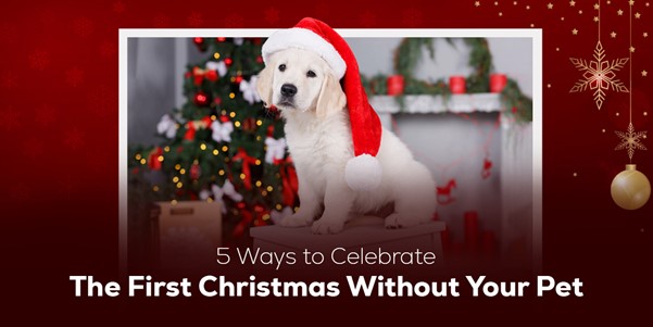 5 Ways To Celebrate The First Christmas Without Your Pet